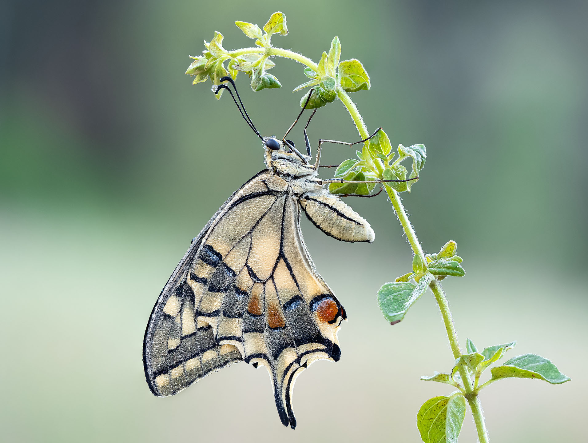 Photography – Marta Albareda